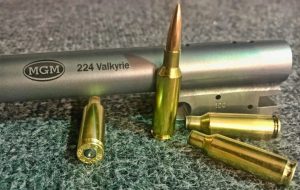 Rifle Caliber Guide: From .17 HMR to .50 BMG – Firearm Review