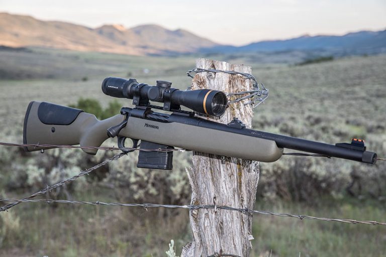 Best Beginner Long-Range Rifles – Firearm Review