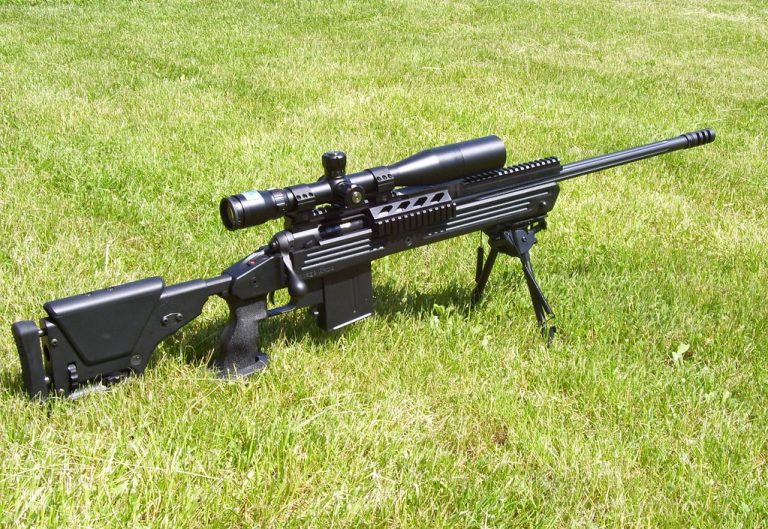 Best Beginner Long-Range Rifles – Firearm Review