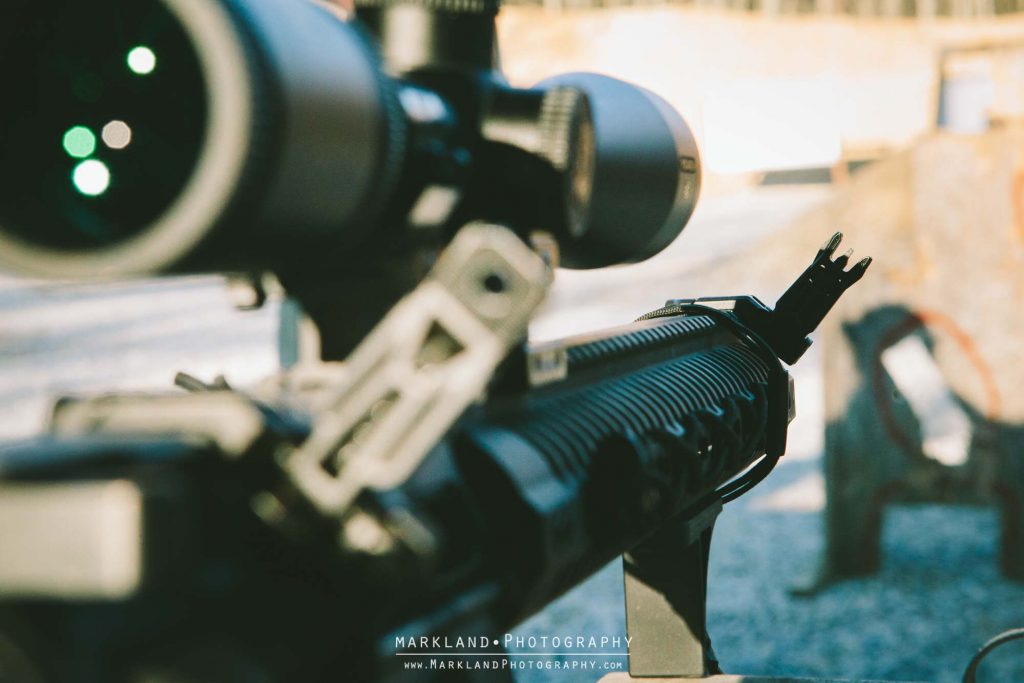 Best Offset Iron Sights – Firearm Review